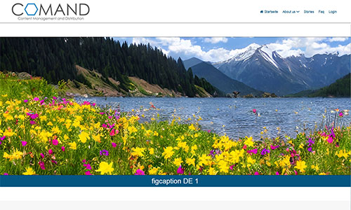 CoManD-UI - a next generation web-engine consisting of CoManD Frontend ...